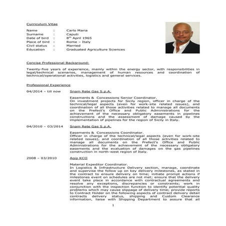 CMC cv (eng - photo) 2014 | PDF