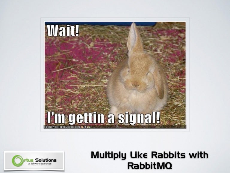 Multiply like rabbits with rabbit mq