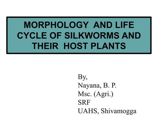 Lecture 8 Types of silk worm.pptx