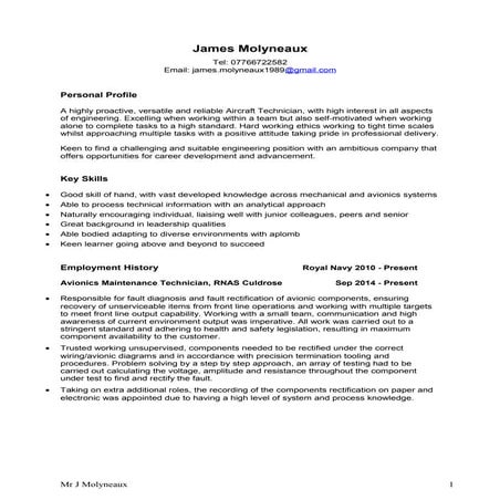 Christopher Anthony Leedham - CV | DOCX