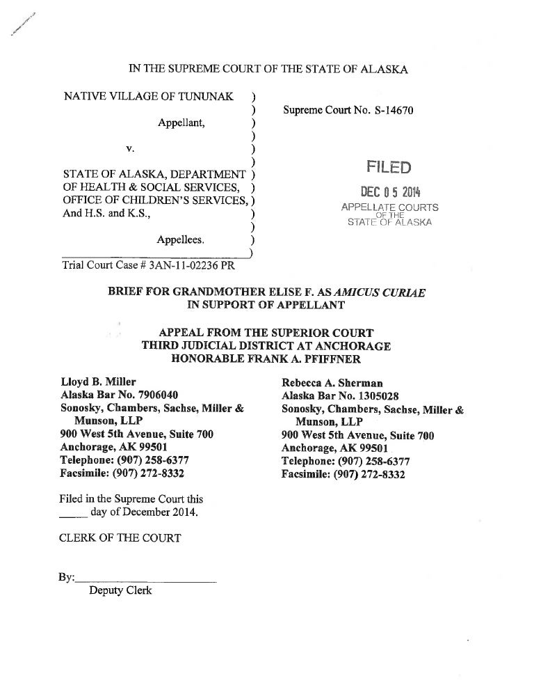 2 Amicus Brief For Grandmother As Amicus Curiae In Support Of Appella…
