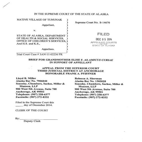 2 amicus brief for-grandmother-as-amicus-curiae-in-support-of-appellant ...
