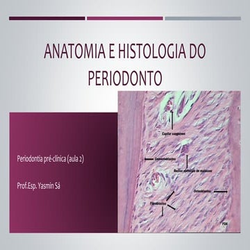 PLANEJAMENTO CIRÚRGICO EXODONTIA DE RESTO RADICULAR DO ELEMENTO 25 ...