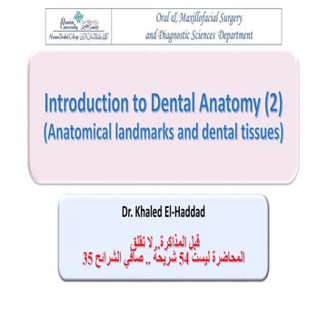 2= Anatomical landmarks and dental tissues.pptx