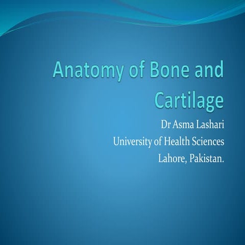 Anatomy of Bone and Cartilage | PPT