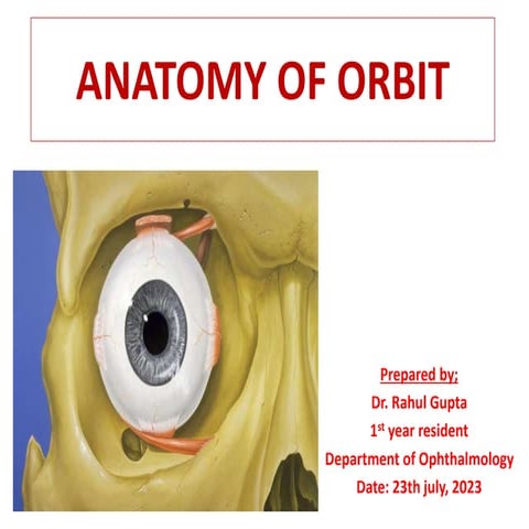 Anatomy of orbit and its clinical applications. | PPTX