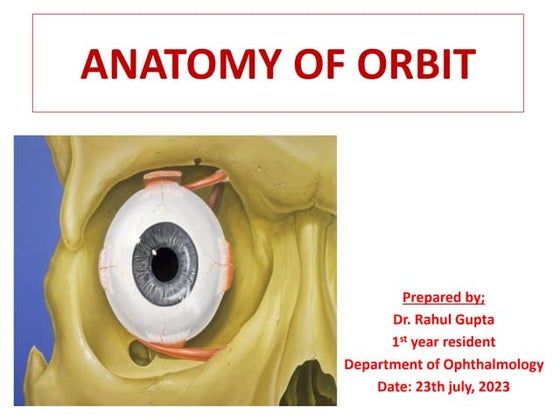 Anatomy of orbital cavity | PPT