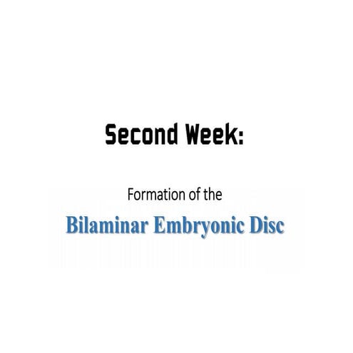 Best embryology power point week 1 and 2 | PDF