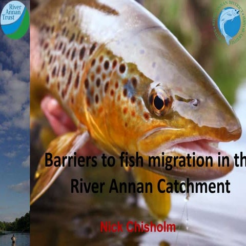 Barriers to fish migration in the River Annan Catchment. Nick Chisholm ...