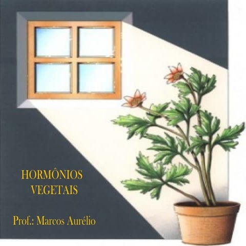 2º Ano - Hormônios vegetais - Fitormônios | PPT