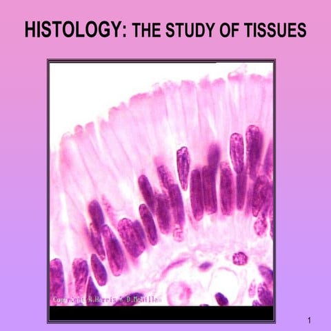 2 ap histology for class 12 7-10, 6 | PPTX