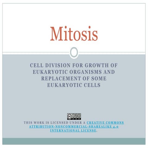 2b. Mitosis - PowerPoint.pdf