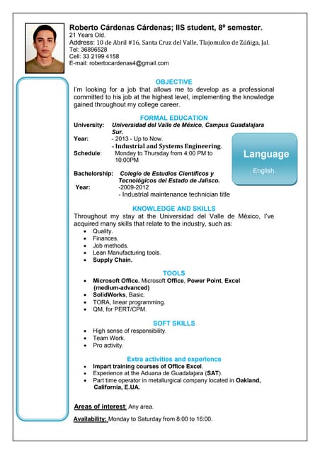 My curriculum vitae | DOCX