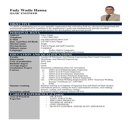 fady wadie cv | PDF