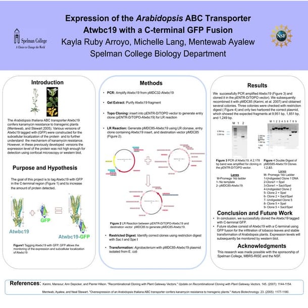Poster Plant Research (2) | PPT