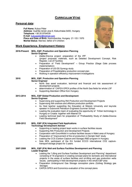 C V Zeljko Kirin_2015 August | PDF