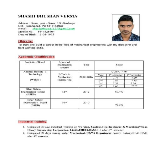 shashi cv | DOCX