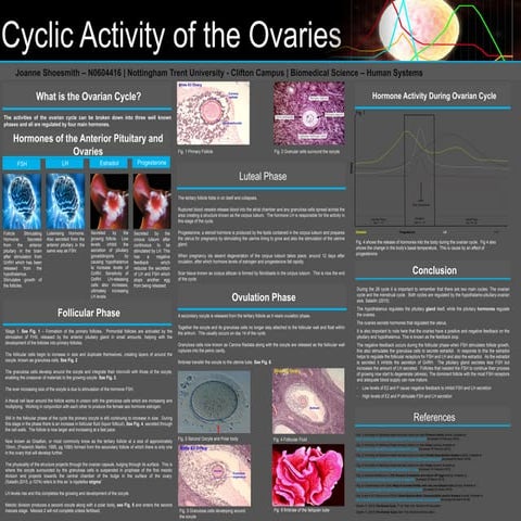 poster for human systems (final copy) | PDF
