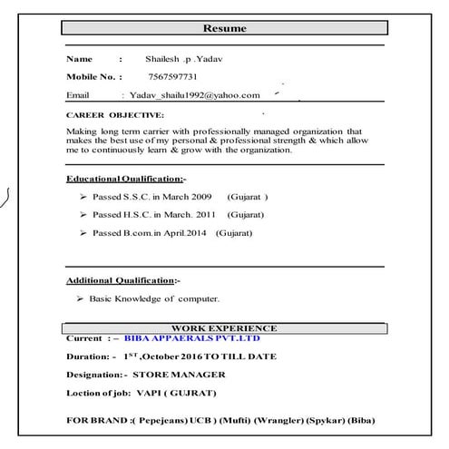 shailesh yadav Resume | DOCX