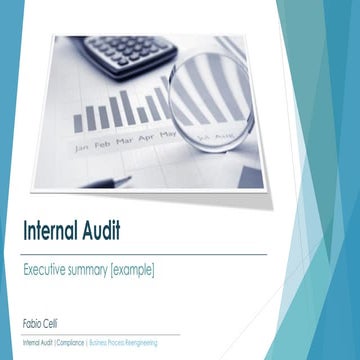 Executive Summary_Audit Activities | PDF