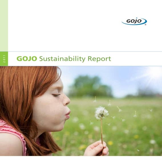 Gojo Professional Hand Care | PDF