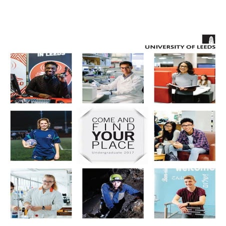 UG Prospectus_2017_Web | PDF