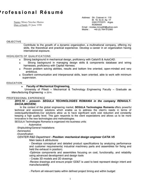 CV George DINCA | PDF