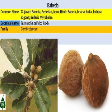 General information on Arjun tree | PPTX