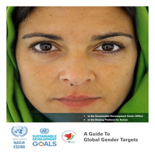 Guide to Global Gender Targets | PDF