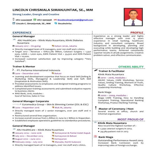 Lincoln - CV_January 2017 | PDF