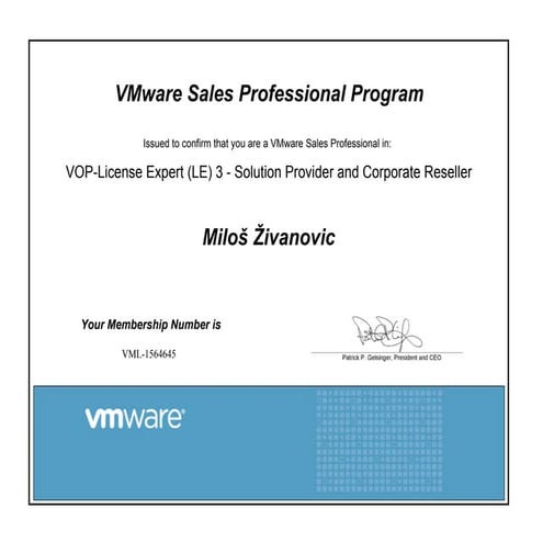 Partnering with VMware Infographic | PDF