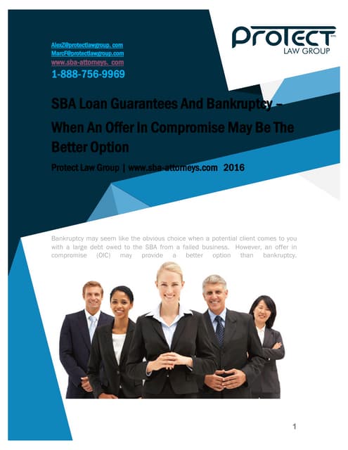 White Paper_SBA Guarantees and Divorce | PDF | Legal Services Industry ...