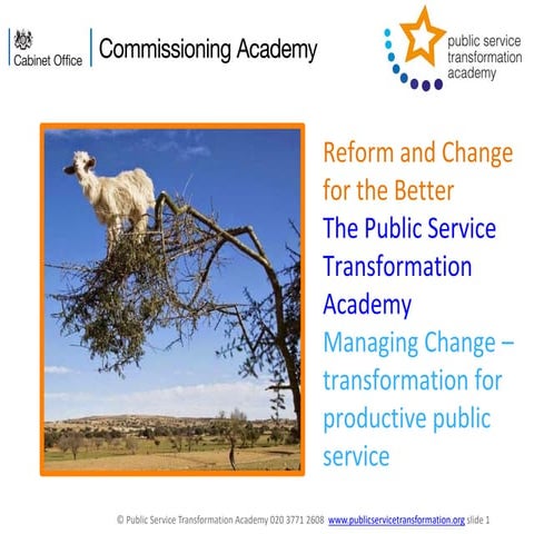 Managing Change: Transformation for Productive Public Services 6/12 ...
