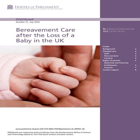 Newborn screening | PDF