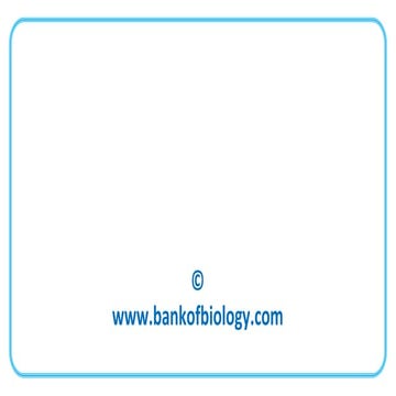 2 biological classification.ppsx.pptx