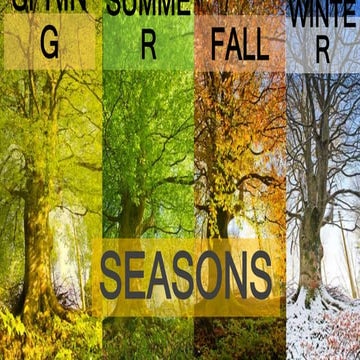 WEATHER AND SEASONS | PPT