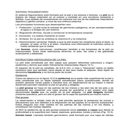 2c. sistema tegumentario | PDF