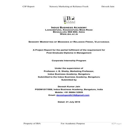CIP Report of Devesh | PDF