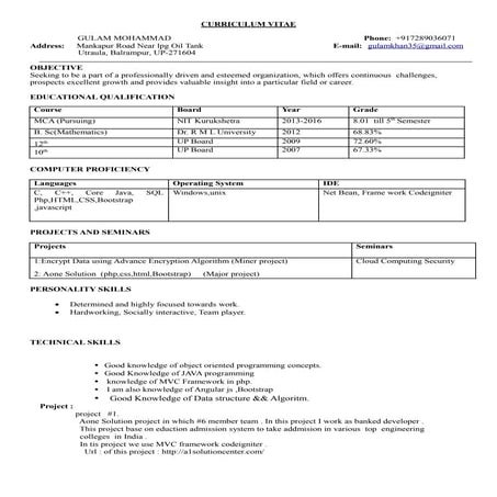 NIT _MCA_gulam | PDF | Programming Languages | Computing