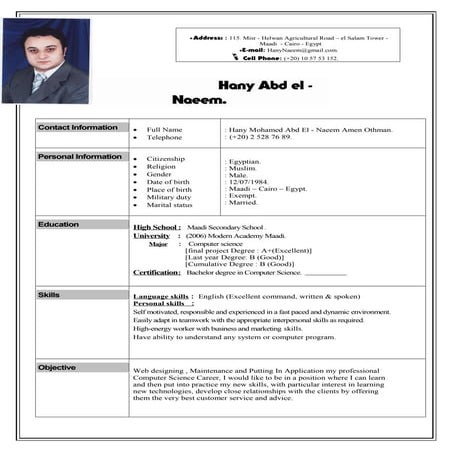 Hany's CV | PDF