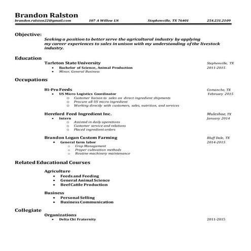 Customer Service/Insurance | DOCX