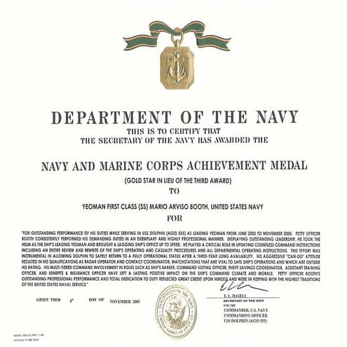 Achievement Medal 3 | PDF