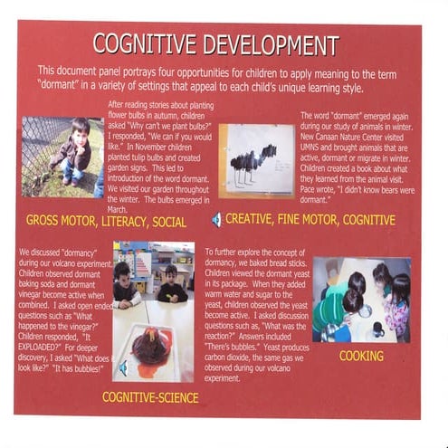 Cognitive Development | PPT