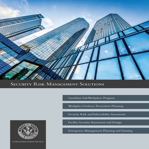 CIS Security Risk Mgmt Solutions Brochure | PDF