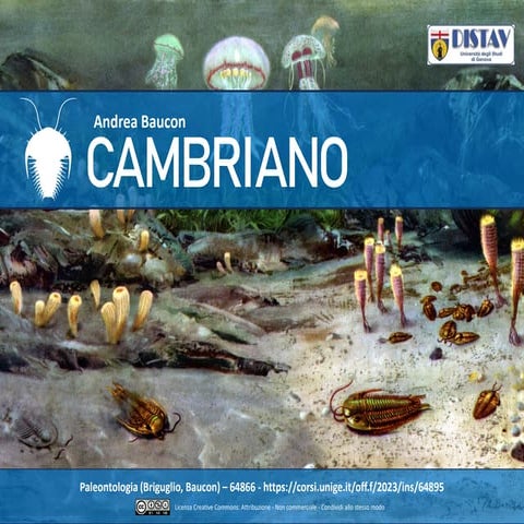 Cambriano: l'Esplosione Cambriana rivoluziona gli oceani | PDF ...