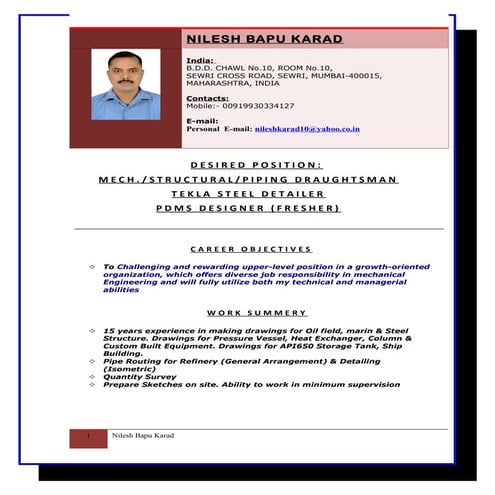 nilesh CV | PDF