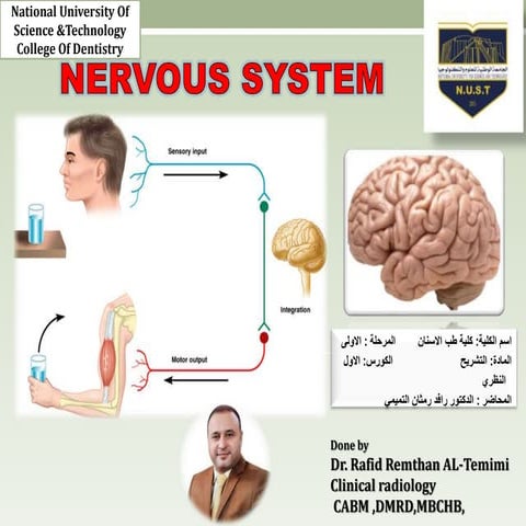 4_Autonomic_nervous_system_and_control_of_visceral_functions_lect.pptx