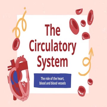 Comparative anatomy circulatory system | PPT