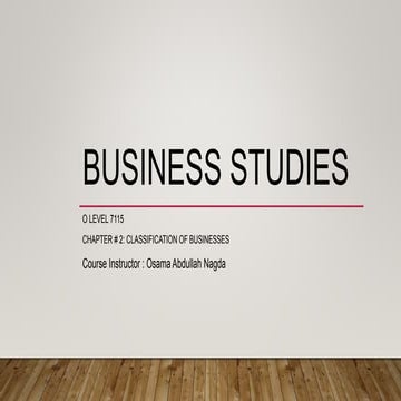 Classification of Businesses | PPTX