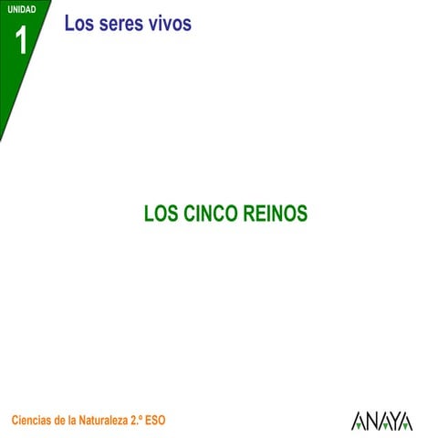 el maravilloso mundo de los reinos y su clasificación | PPT